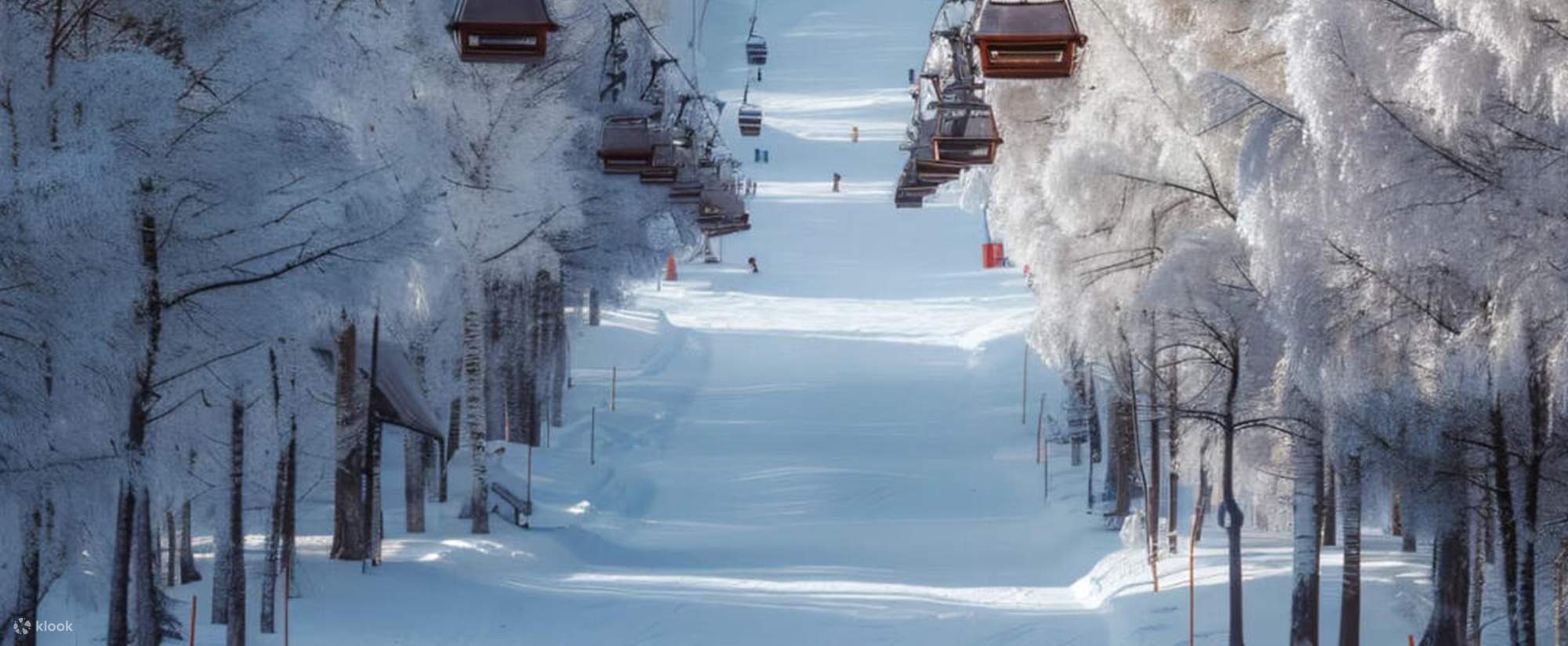 Yabuli One-Day Tour from Harbin (Yabuli Ski Tourism Resort + Northeast ...